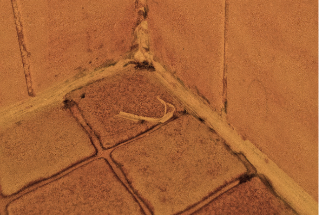 How to Clean Shower Grout: 4 Methods That Actually Work